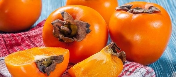 Caco, il cibo degli dèi - Giornale Cangrande